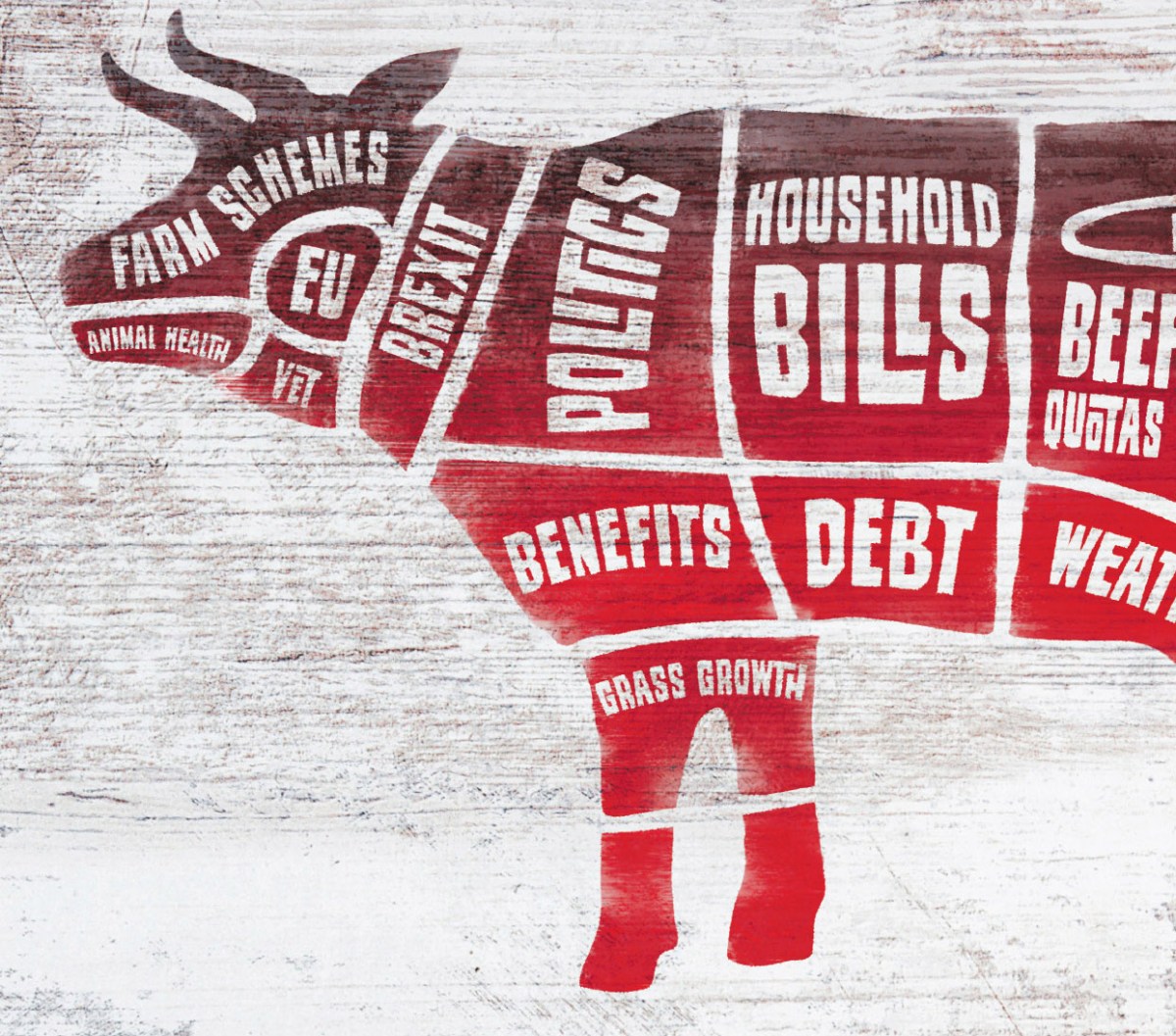 Irish Examiner Farming Poll – Art Director Nerd